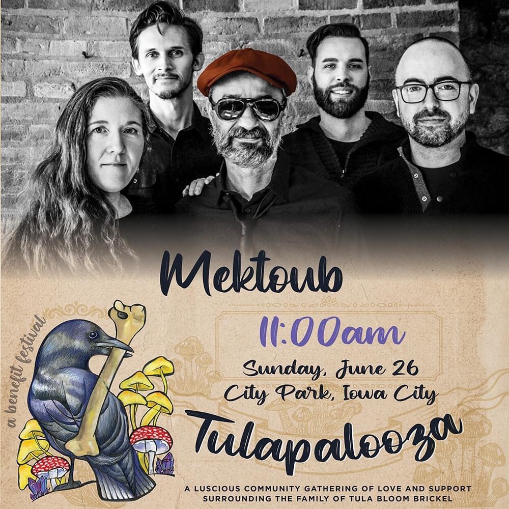 Tulapalooza – Tara McGovern